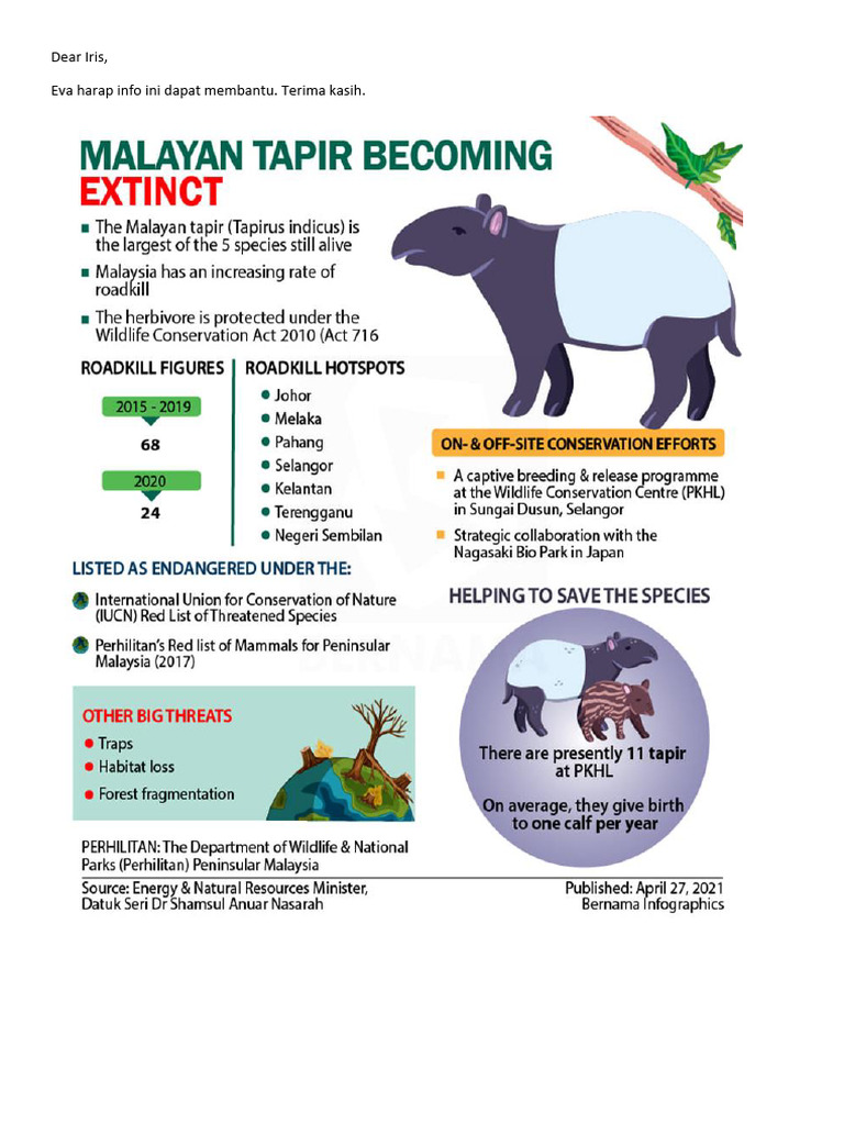 Saving the Malayan Tapir: Conservation Efforts | PDF | Natural ...