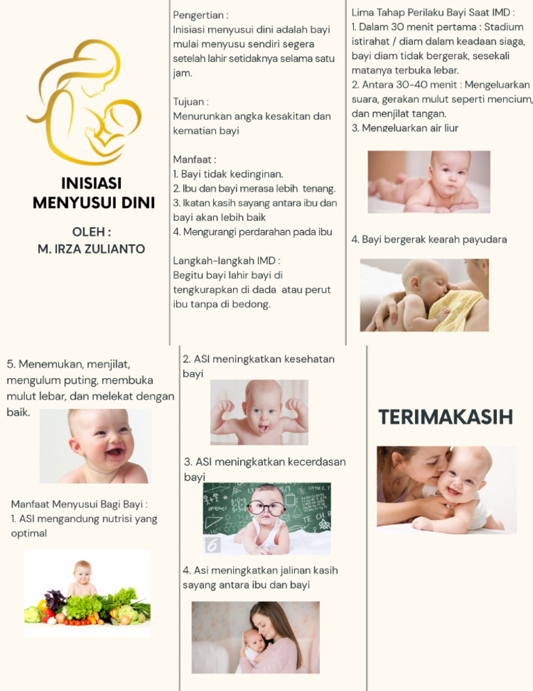 Leaflet Imd (M. Irza Z) | PDF