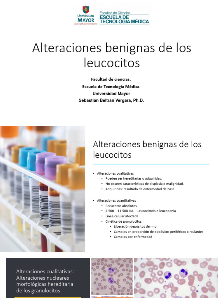 Clase 5 Alteraciones Benignas de Los Leucocitos | PDF | Leucocito | Especialidades Medicas