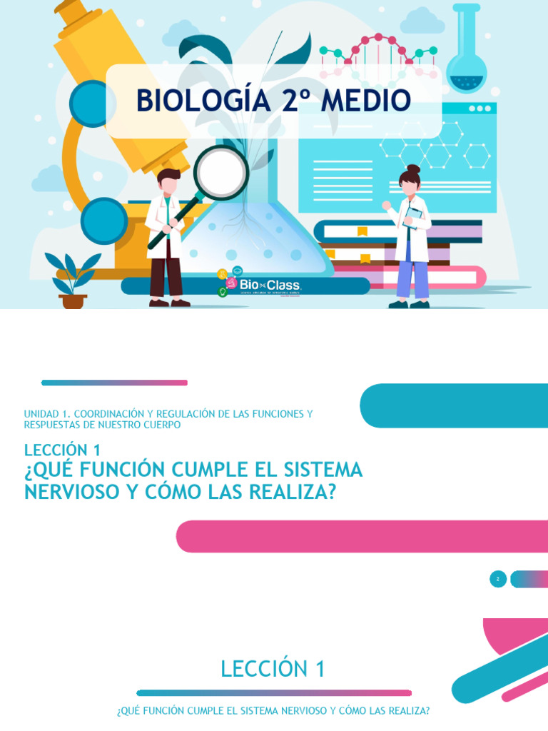 Bio2 U1 L1 Clase | PDF | Sinapsis | Neurona