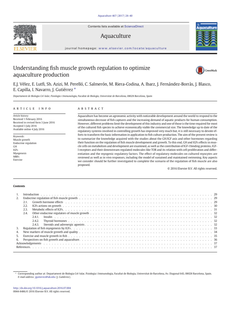 Understanding Fish Muscle Growth Regulation To Optimize | PDF | Insulin ...