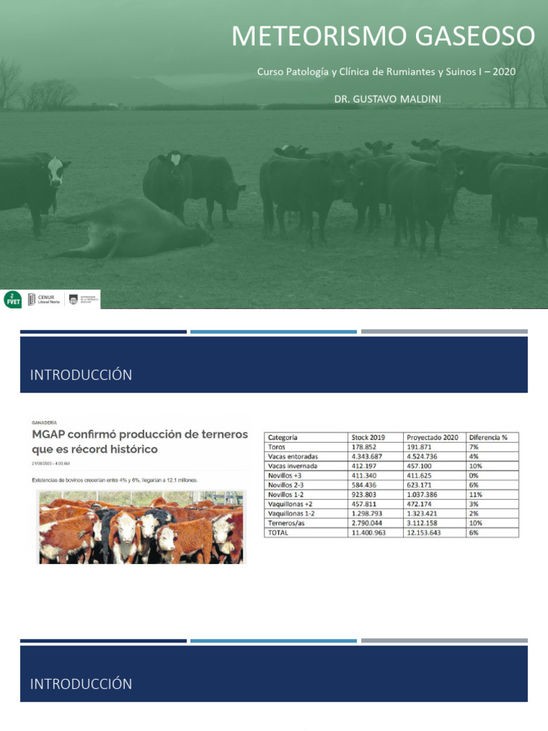 Meteorismo Gaseoso 2020 | Descargar gratis PDF | Especialidades Medicas ...