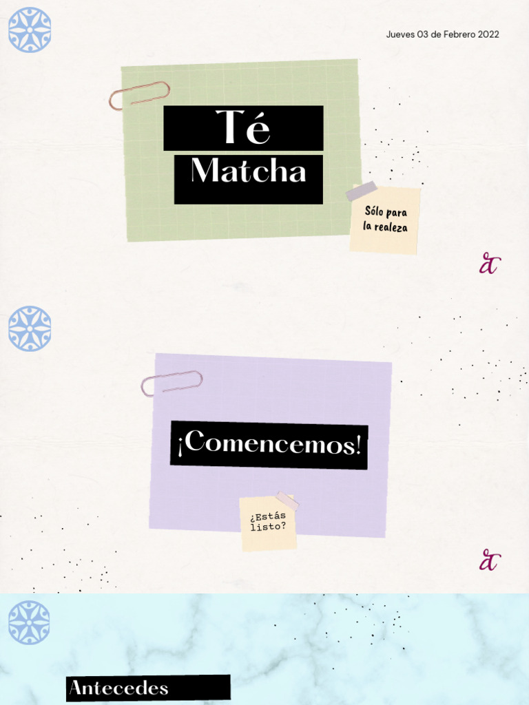 TE MATCHA | PDF | Inflamación | Antioxidante