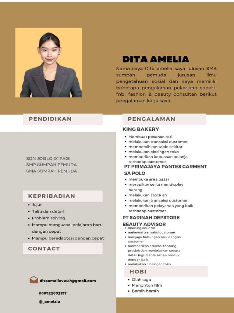 CV Dita Amelia | PDF