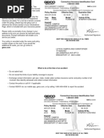 Temporary License | PDF