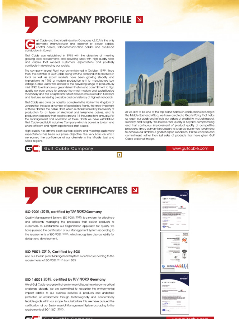 C-PROFILE 1-20-print | PDF