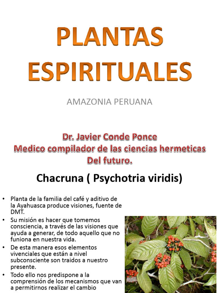 Propiedades del Chiric Sanango | PDF | Ayahuasca