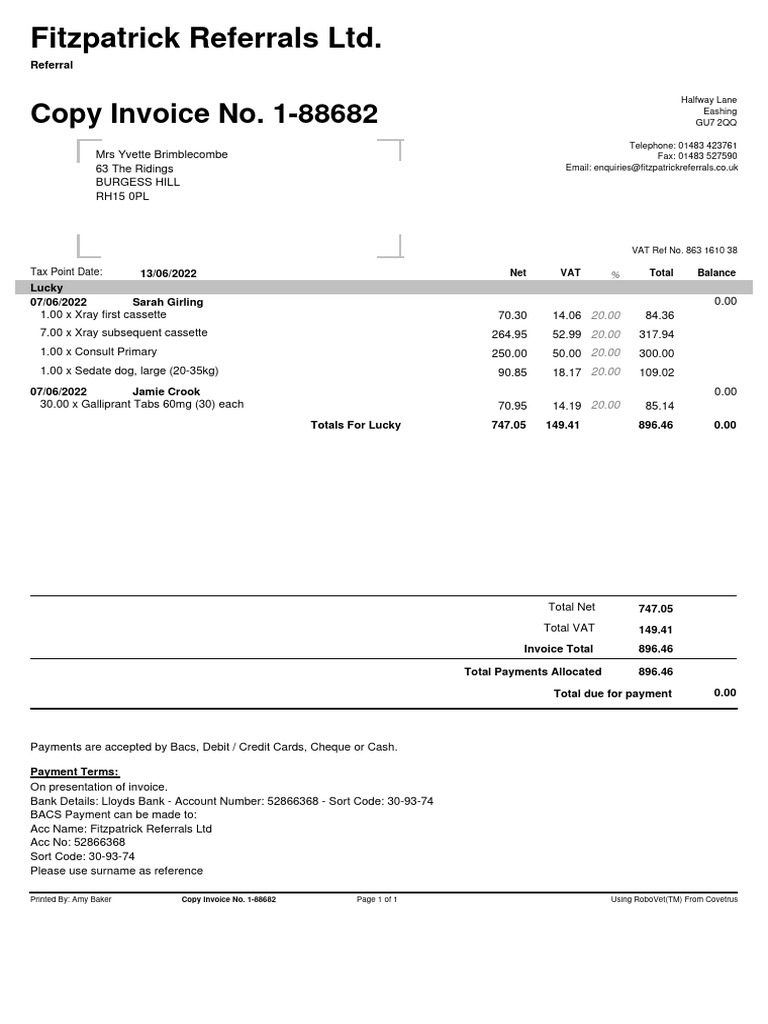 Veterinary Invoice for X-ray Services | PDF | Payments | Invoice