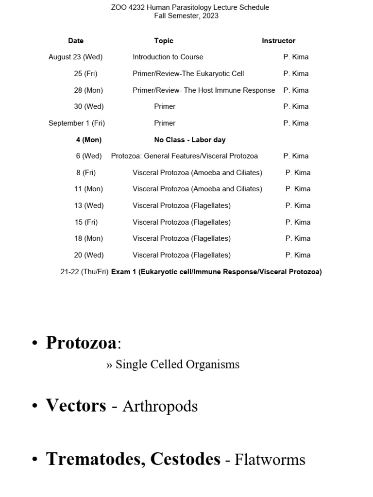 Zenon Girl Of The 21st Century Protozoa