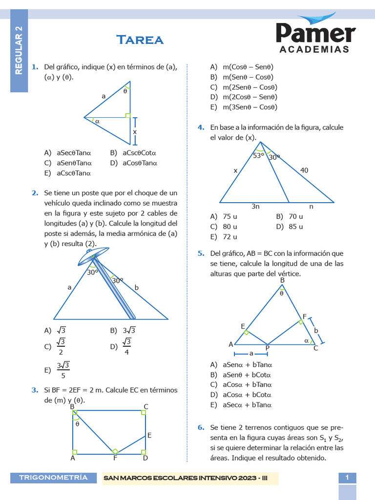 5.trigo - Reg 2 - Resolución de Triángulos Rectangulos - Tarea | PDF | Triángulo | Geometria clasica