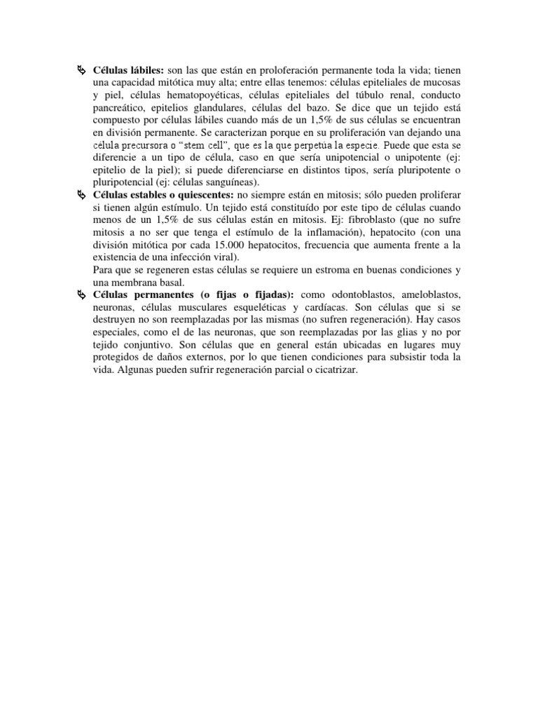Tipos de Células: Lábiles, Estables y Permanentes | PDF | Relaciones ...