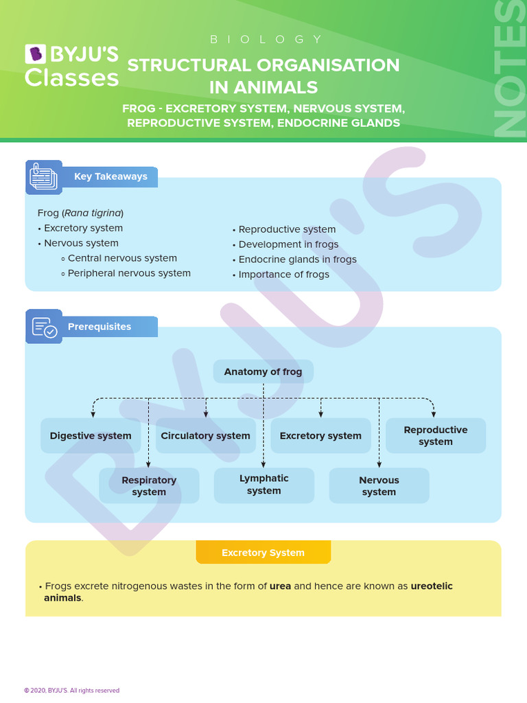 Structural Organisation in Animals: Frog - Excretory System, Nervous ...
