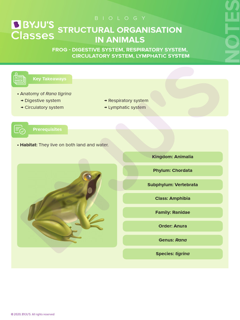 Structural Organisation in Animals: Frog - Digestive System ...