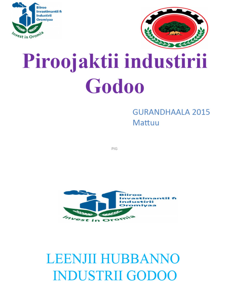 Leenjii Hubbanno Industrii Godoo | PDF