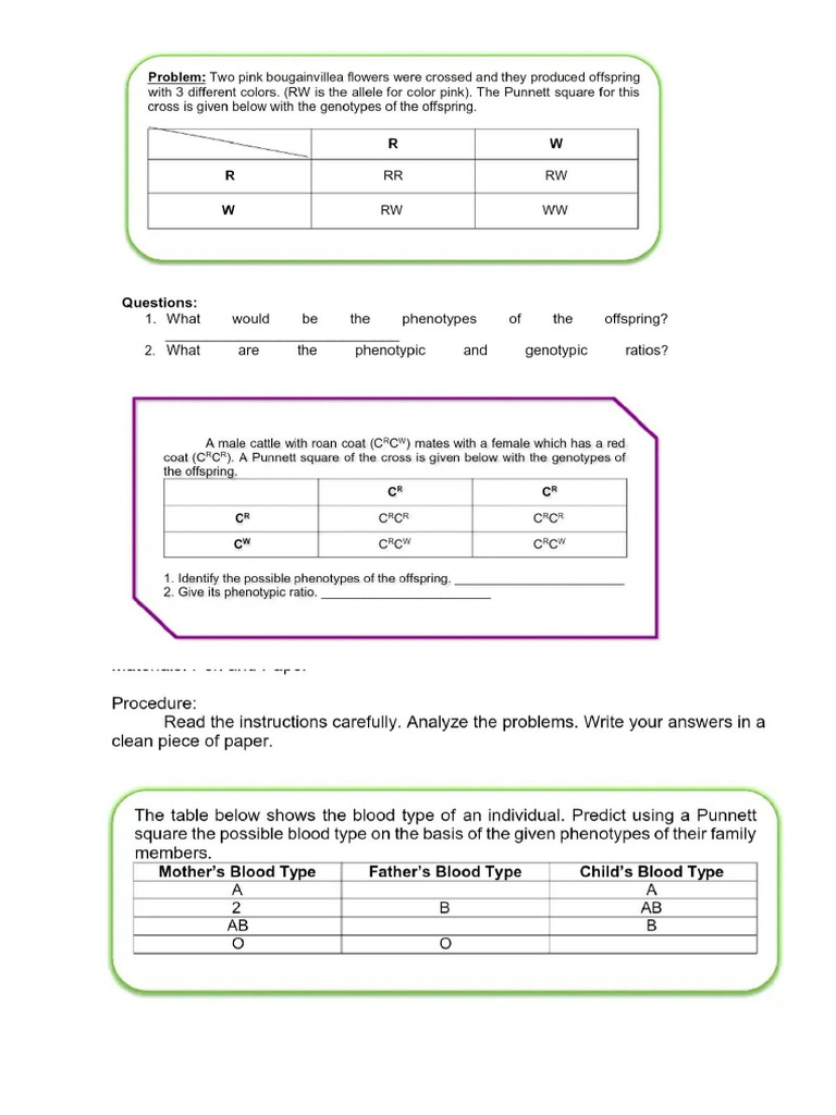 Genetics Activity | PDF