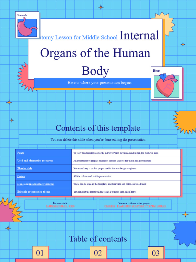 Anatomy Lesson For Middle School Internal Organs of The Human Body by ...