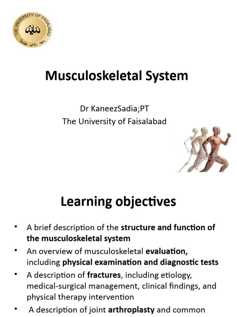 Musculoskeletal System Assessment Overview | PDF | Human ...