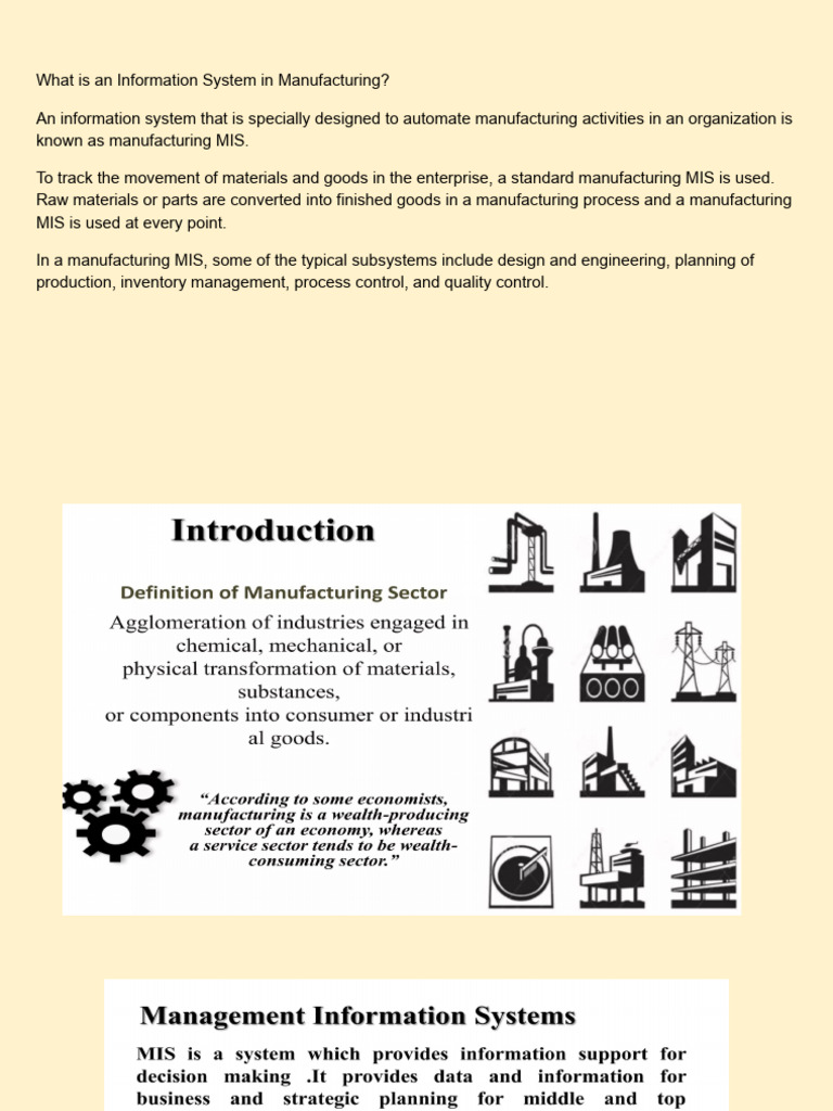 MIS Module 2 Part 2 | PDF