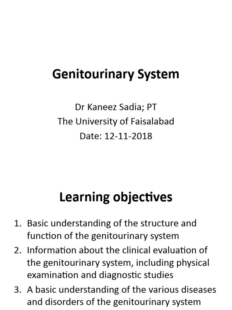 Genitourinary System Overview and Care | PDF | Kidney | Physical Therapy