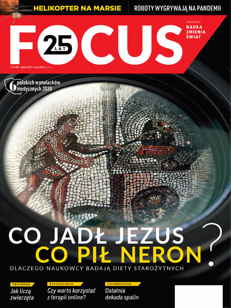 Focus 1-2021 | PDF