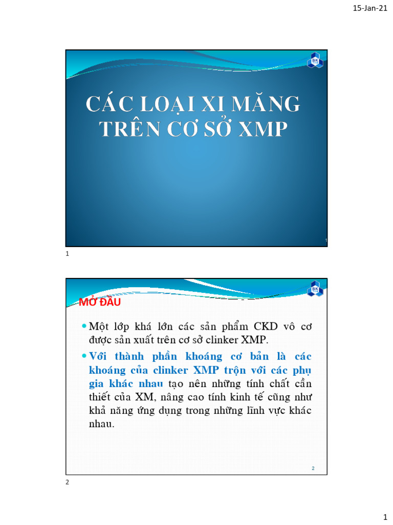 13.1-Cac Loai XM Tren CS XMP | PDF