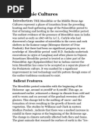 Lithic Stone Tool Typology PDF | PDF | Artifact (Archaeology) | Neolithic