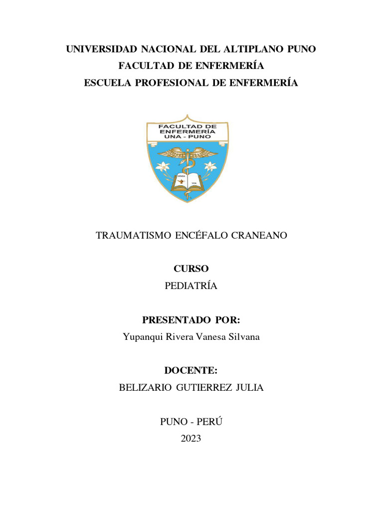 Universidad Nacional Del Altiplano Puno Facultad de Enfermería Escuela ...