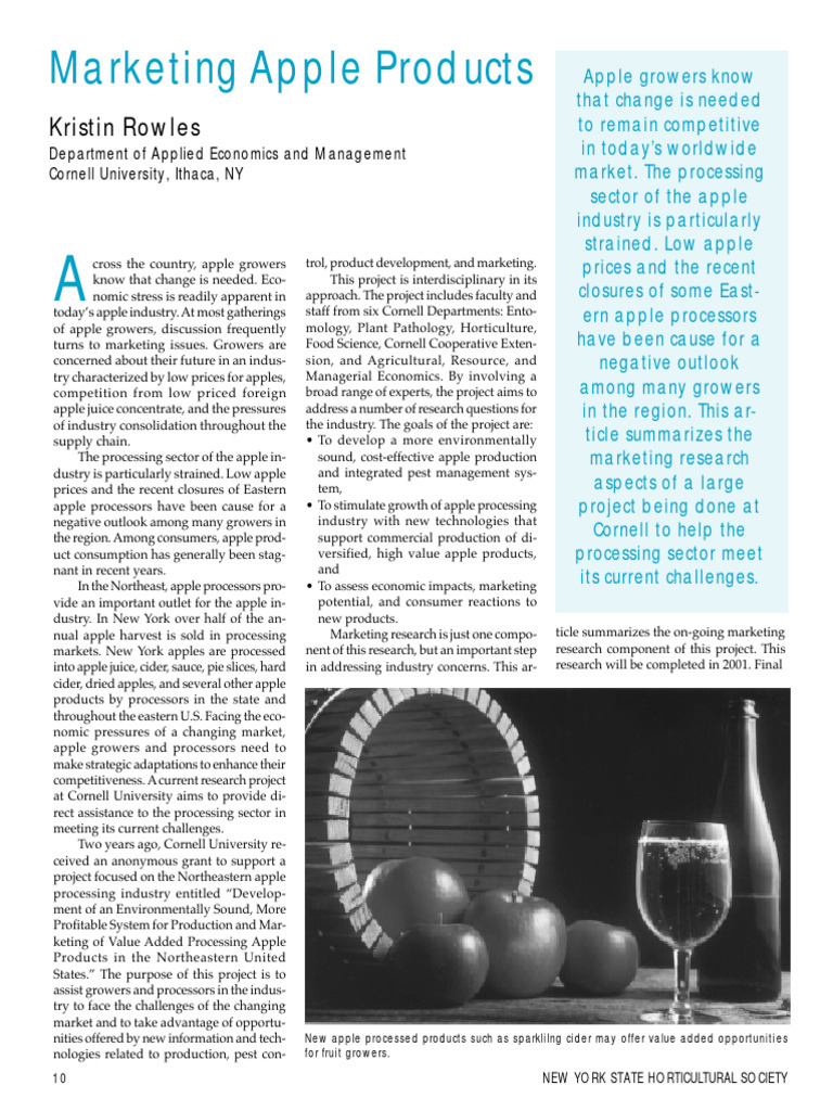 Marketing Apple Products | PDF