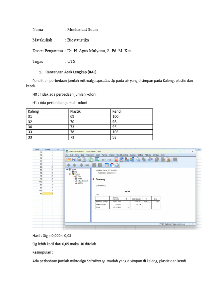 Mochamad Sutan - Ujian Tengah Semester (UTS) Docx | PDF