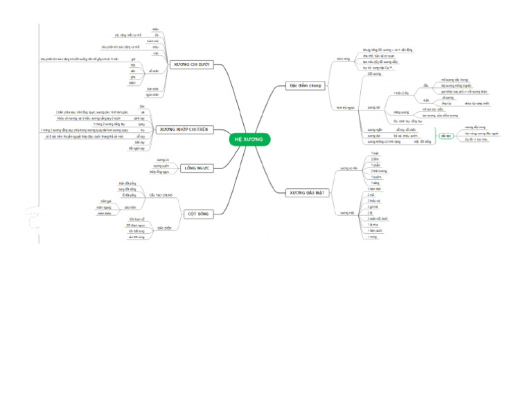 mindmap hệ xương | PDF