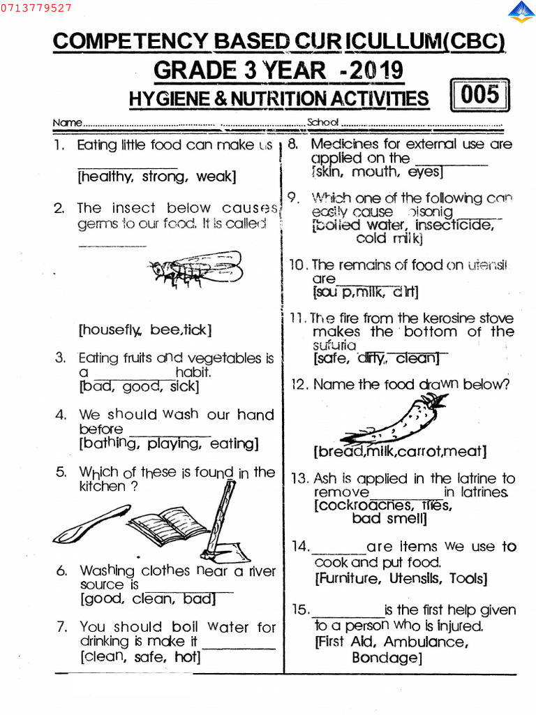Hygiene Grade 3 Exam | PDF