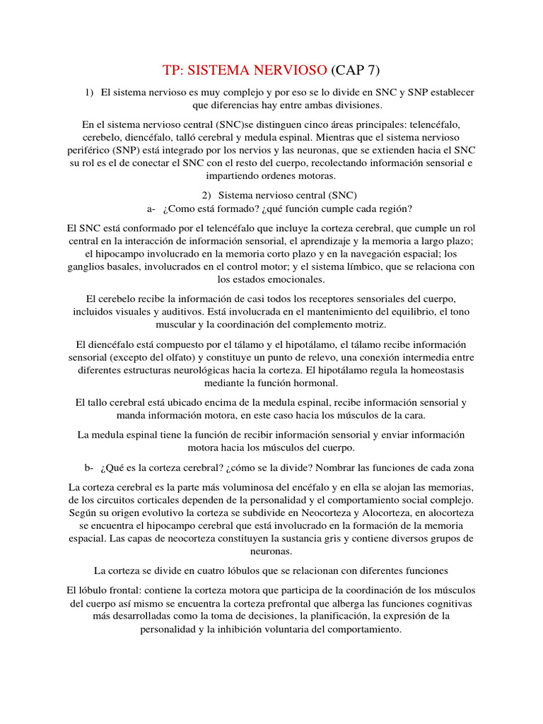 TPSISTEMA NERVIOSO (CAP 7) | PDF | Sistema nervioso central | Corteza cerebral
