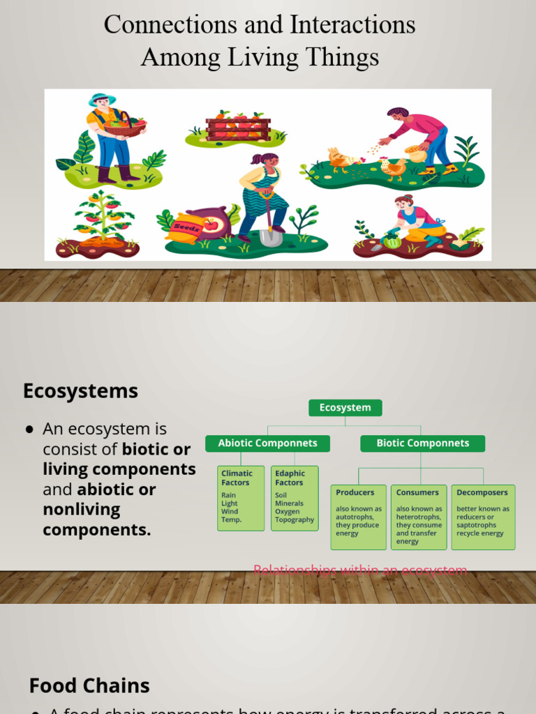Connections and Interactions Among Living Things | PDF