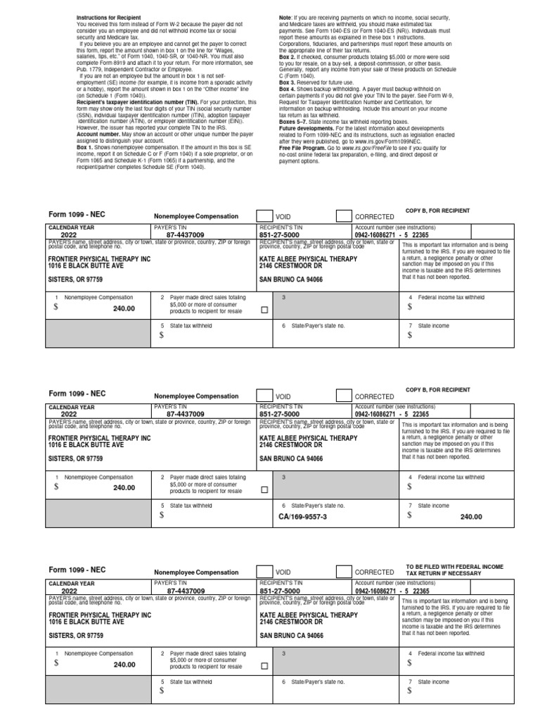 Form 1099-NEC Instructions Guide | PDF | Irs Tax Forms | Income Tax In ...