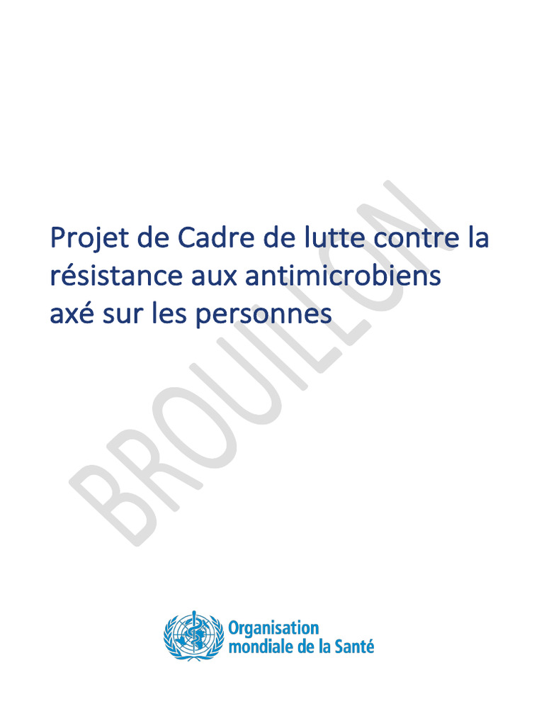 French Draft People Centred Framework Paper | PDF | Infection ...