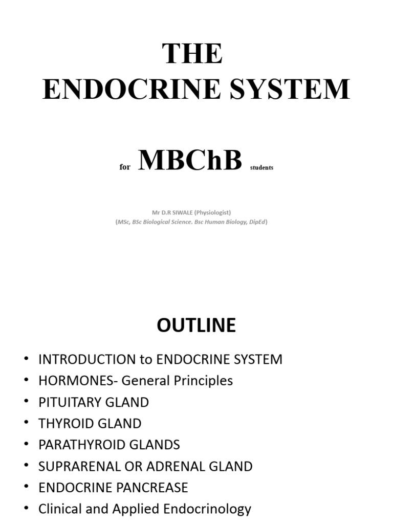 A. Intro To The ENDOCRINE System | PDF