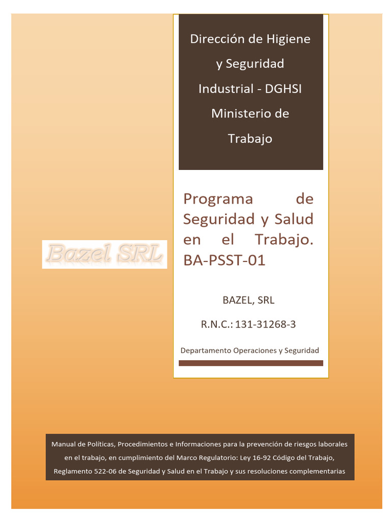Programa de S y S Bazel San Pedro V2-1 | PDF