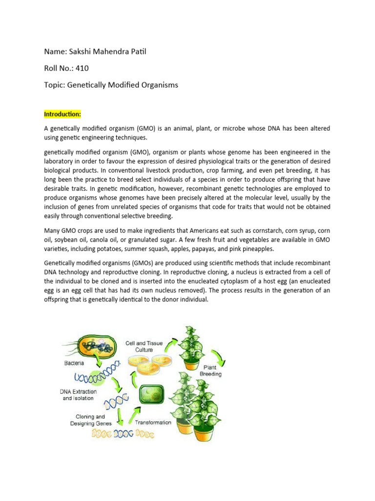 Genetically Modified Organisms | PDF | Genetically Modified Organism | Genetic Engineering