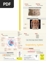 Digestive System Flow Chart | PDF | Digestion | Human Digestive System