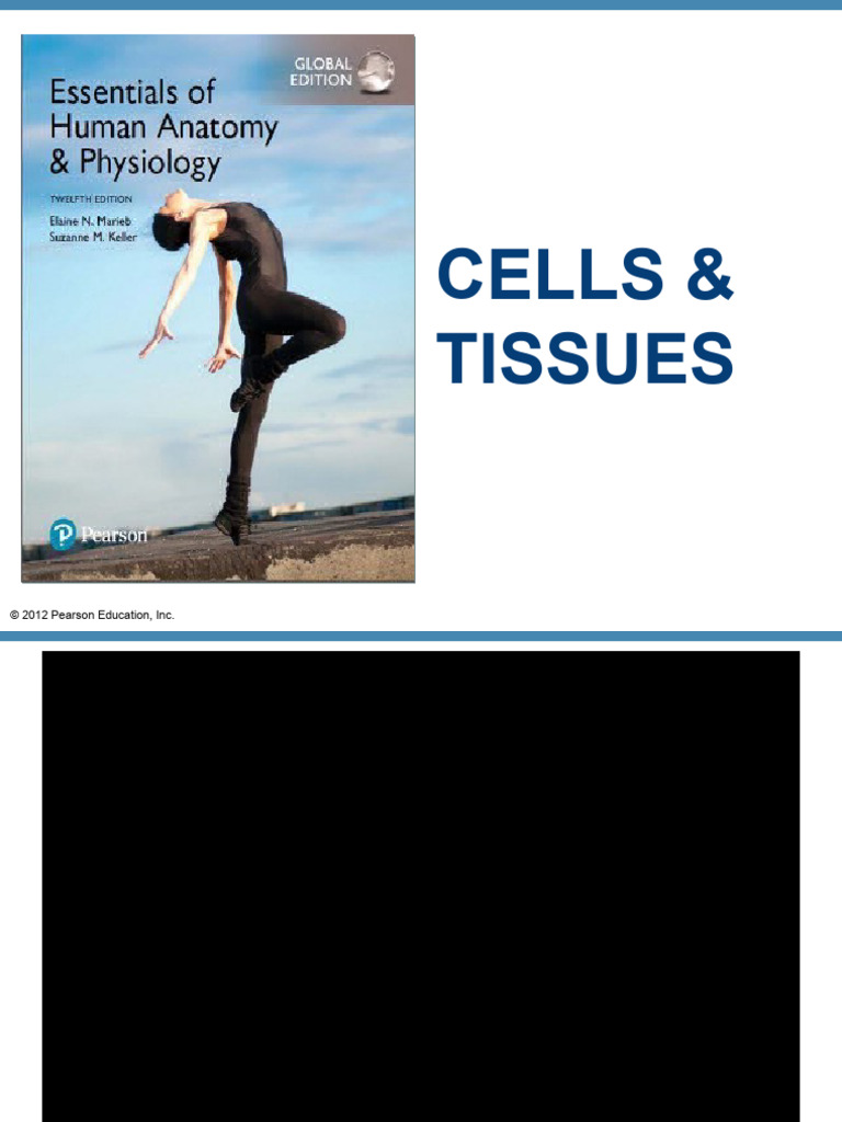 Chapter 3 Cells Tissues Edited Slides | PDF