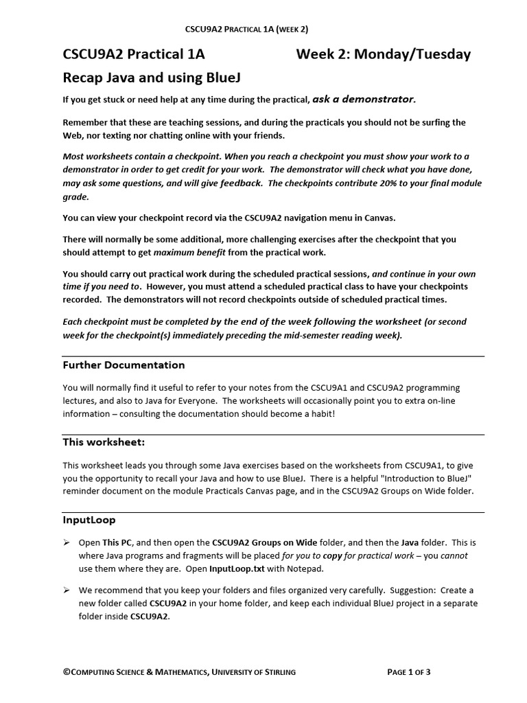 Practical 1 A Pdf Computer Program Programming 