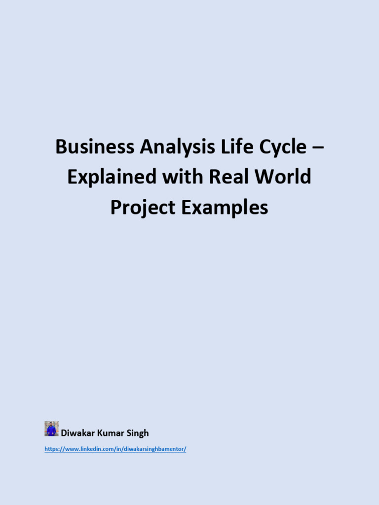 BA Life Cycle | PDF