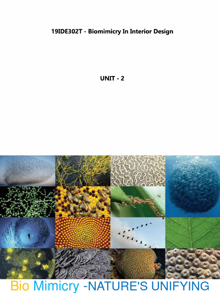 Unit - 2 Biomimicry | PDF
