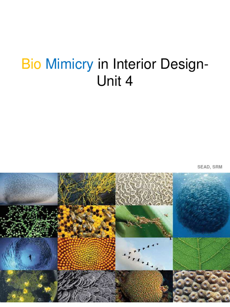 Bio - Mimicry unit 4 | PDF
