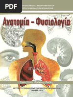 ΑΝΑΤΟΜΙΑ γ επαλ | PDF
