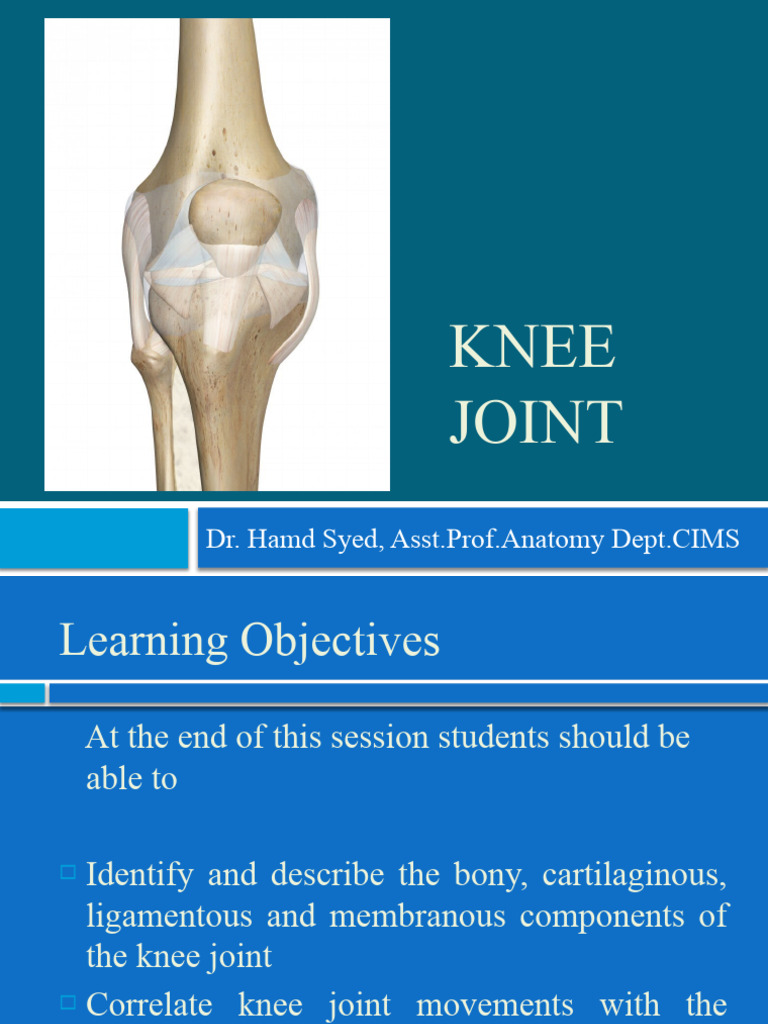 Knee Joint | PDF