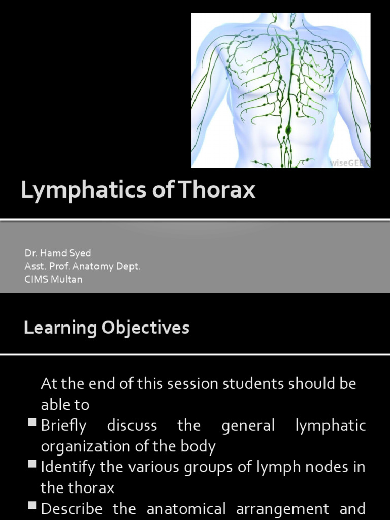 Lymphatics of Thorax | PDF | Circulatory System | Animal Anatomy