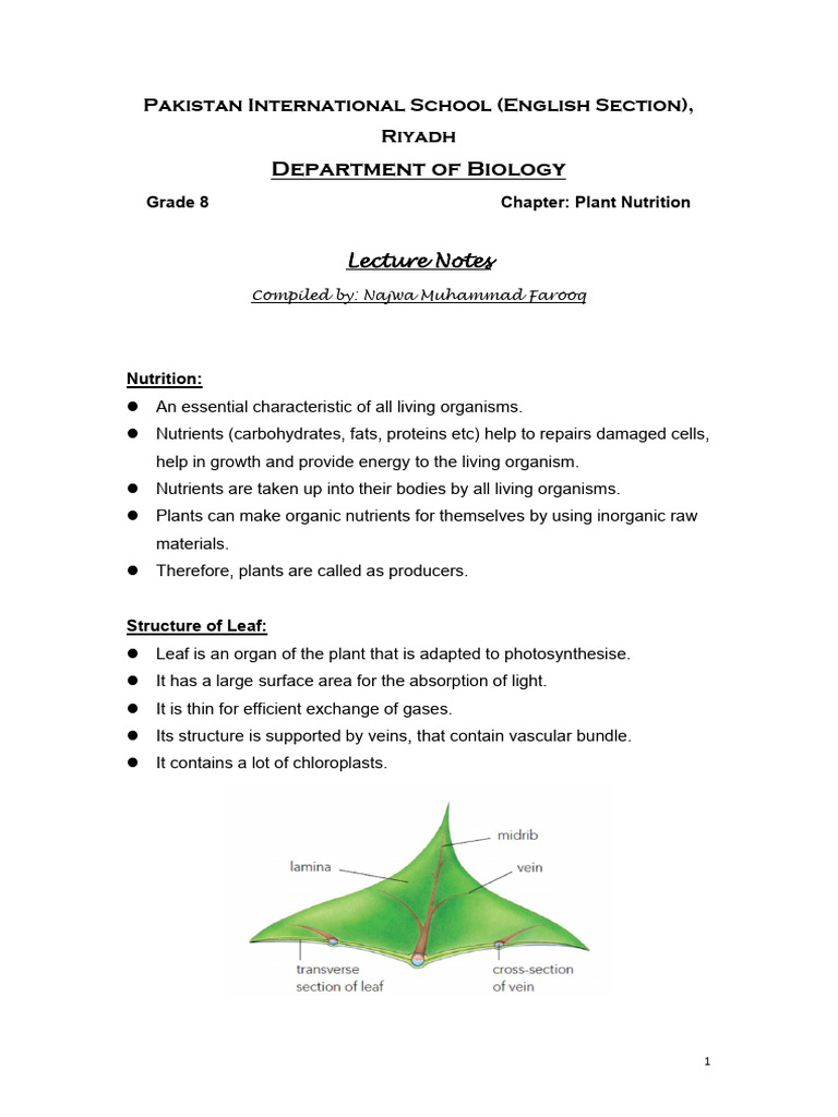 Notes Grade 8 - Chapter 6 | PDF | Leaf | Stoma
