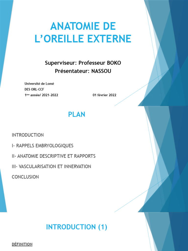 1-Anatomie de L'oreille Externe 2022 | PDF