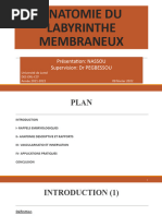 5-ANATOMIE DE L'OREILLE INTERNE Labyrinthe Osseux N@sser | PDF ...